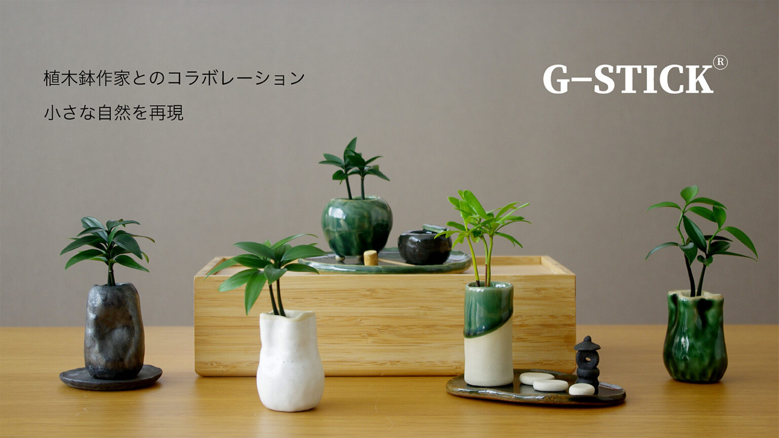 G-STICK | 土を使わない簡単インテリアグリーン