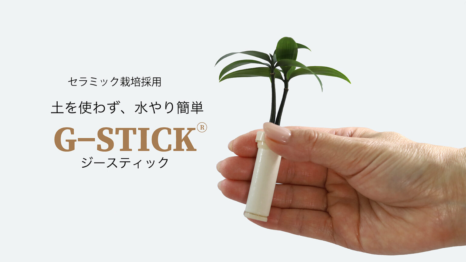 G-STICK | 土を使わない簡単インテリアグリーン